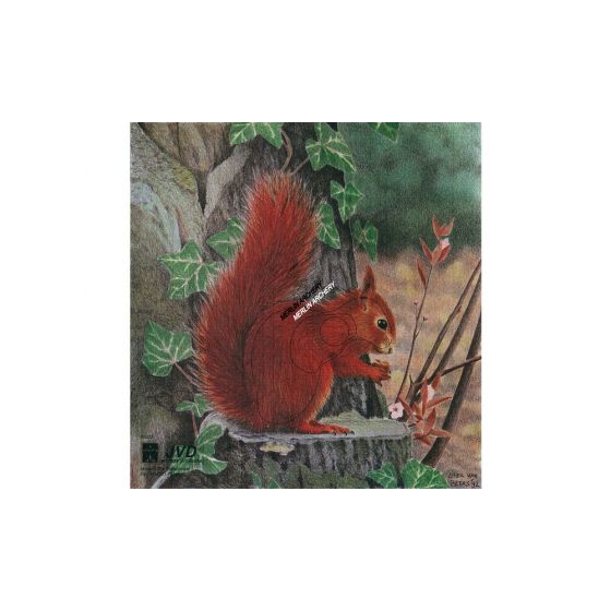JVD Animal Target Face | Merlin Archery