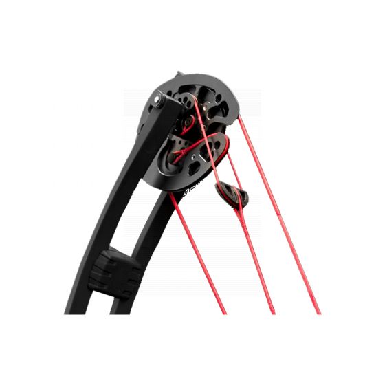 Win Win Arion DX Compound Bow | Merlin Archery