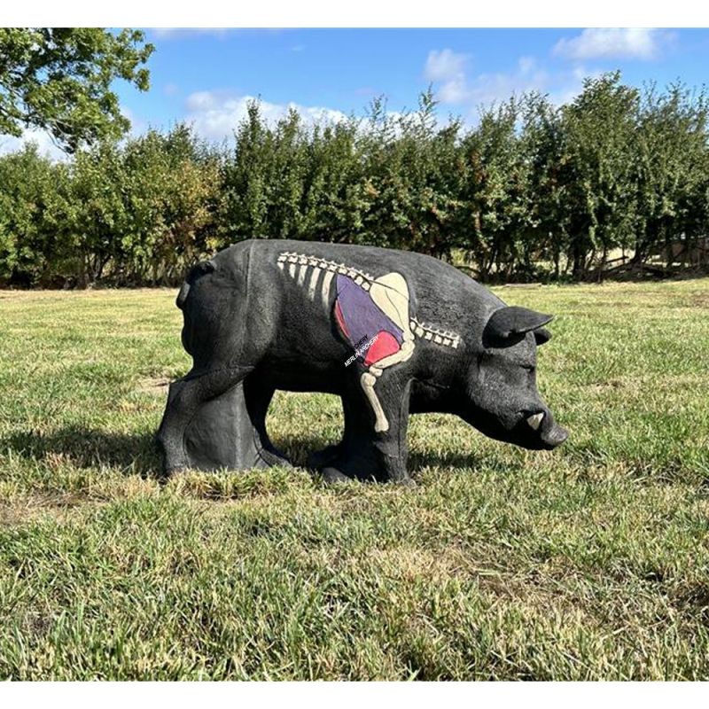 Wildcrete 3D Target - Feral Boar Vitals | Merlin Archery